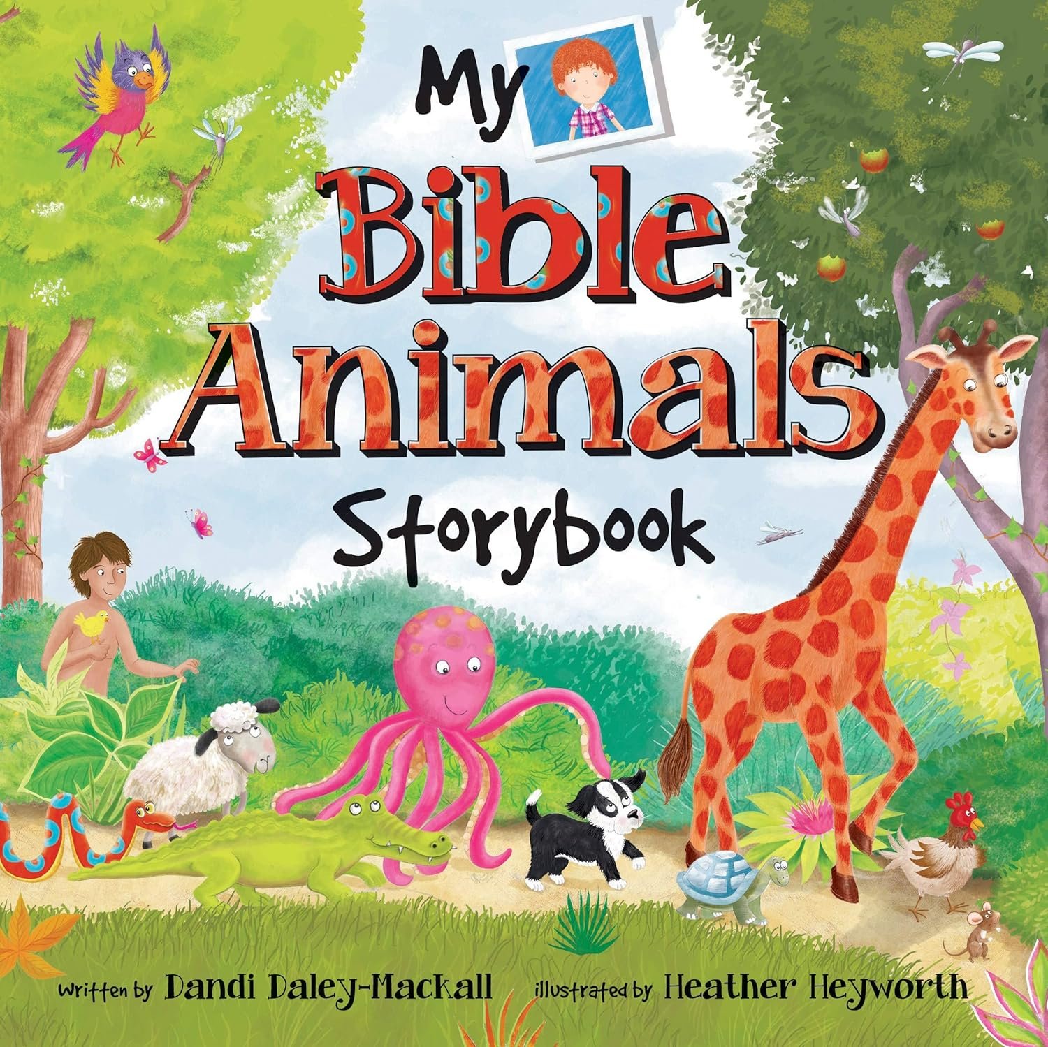 My Bible Animals Storybook - Gospel Publication